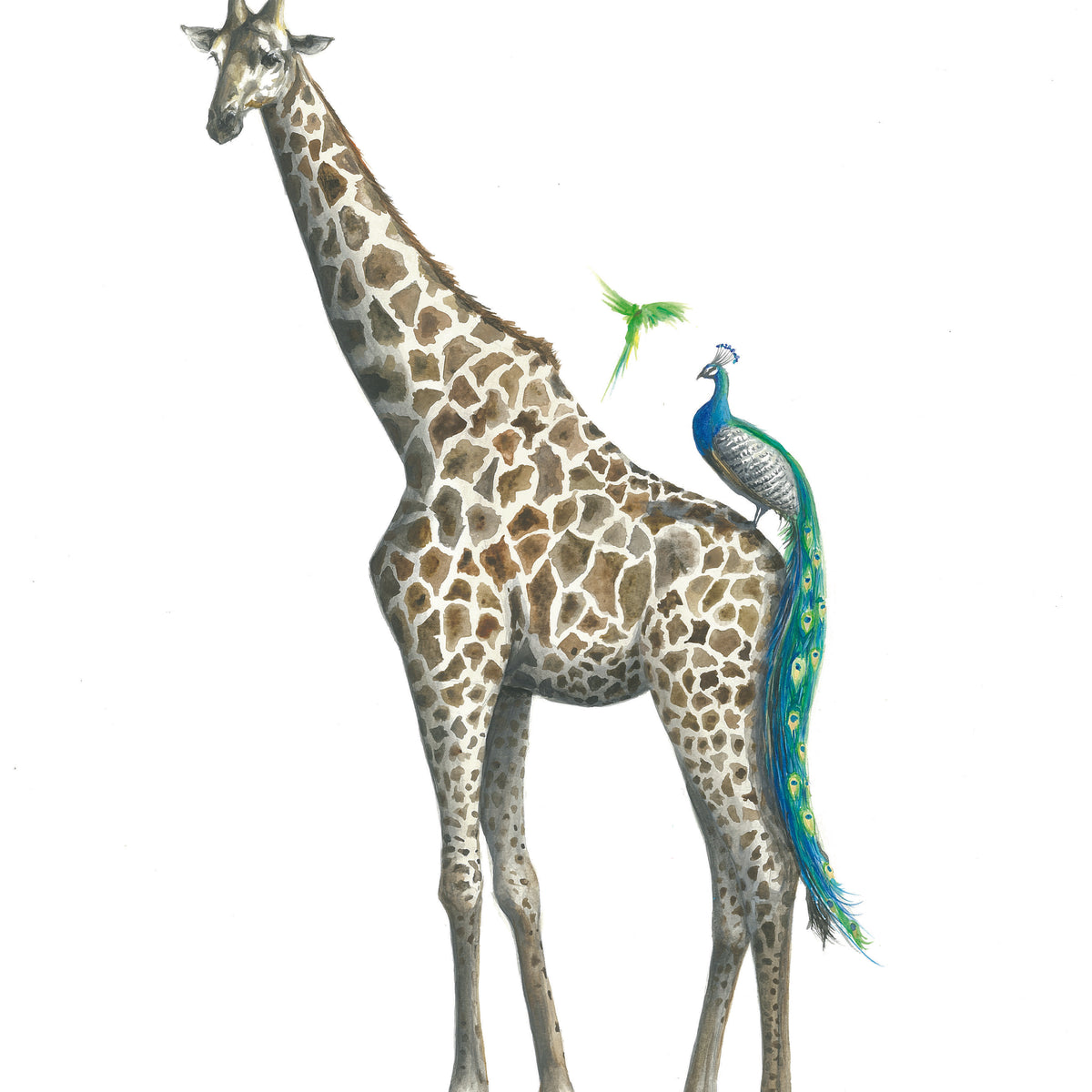 Giraffe and Peacock-Muriel and George Print| Prints – Killy & Co